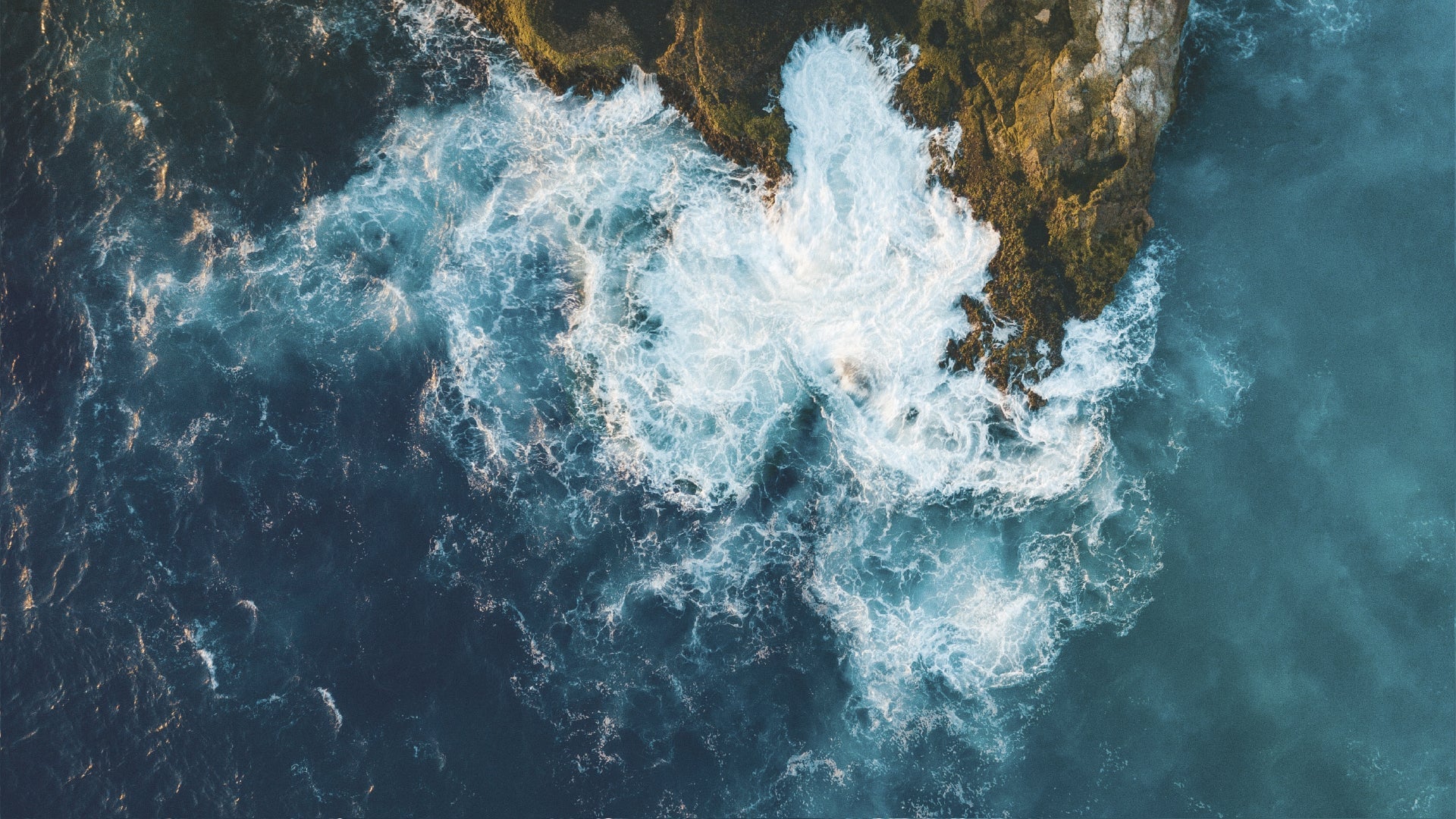 Aquatic Diffusers - Apsley Australia – APSLEY AND COMPANY