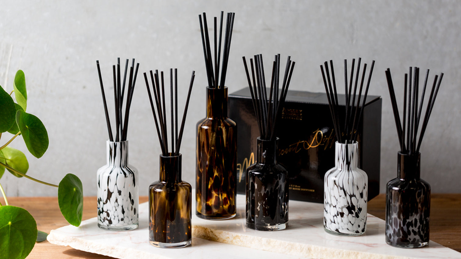 Candles | Diffusers | Home Fragrances | Candle Shop | Apsley Australia