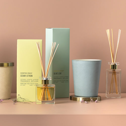 Apsley Brand– APSLEY AND COMPANY